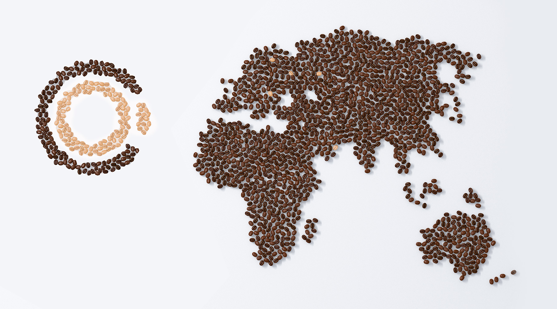 Distribution - The Coffee Business Company.